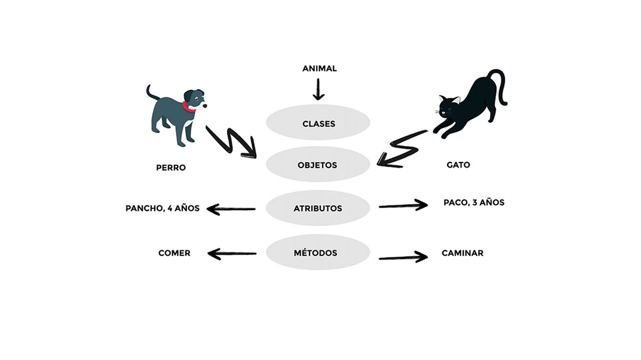 ¿Qué es la Programación Orientada a Objetos y para qué sirve?